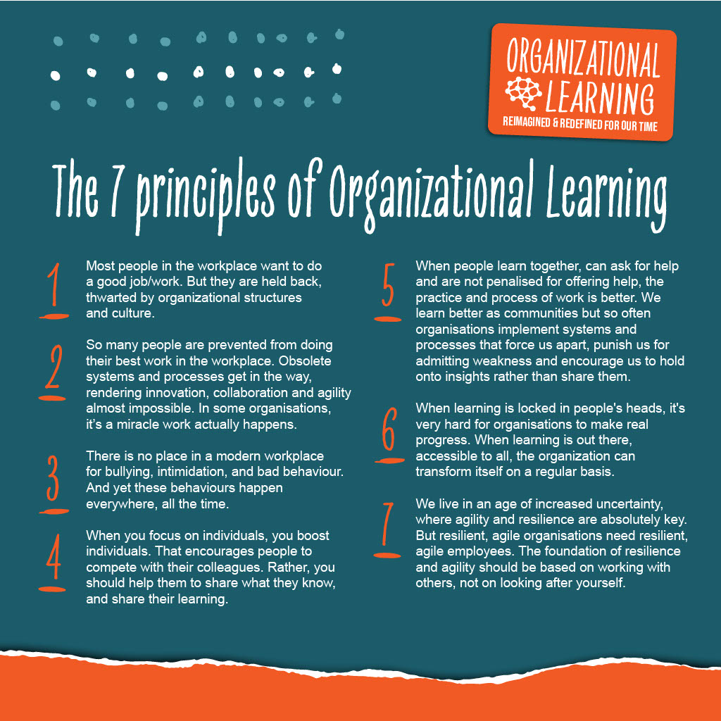 » The 7 principles of organizational learning